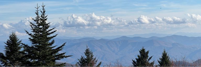Andrews Bald Trail - Breathtaking Views!